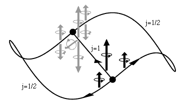 Spin Networks — Greg Egan
